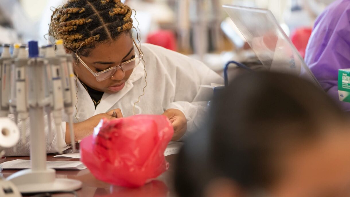 Clinical Laboratory Sciences BS - Albany College of Pharmacy and Health ...