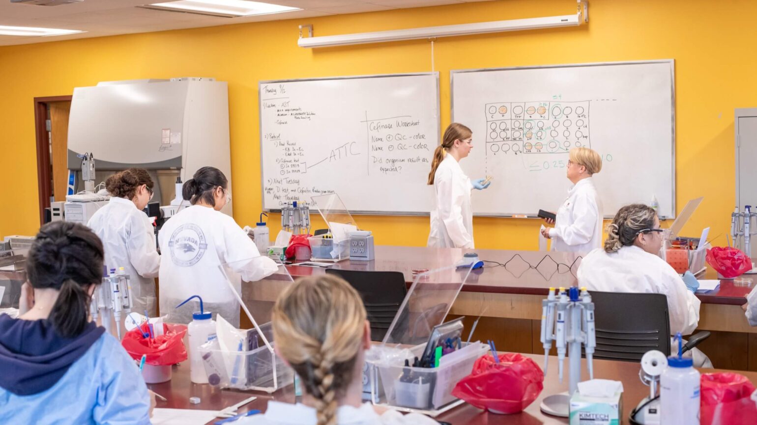 Clinical Laboratory Sciences MS - Albany College of Pharmacy and Health ...