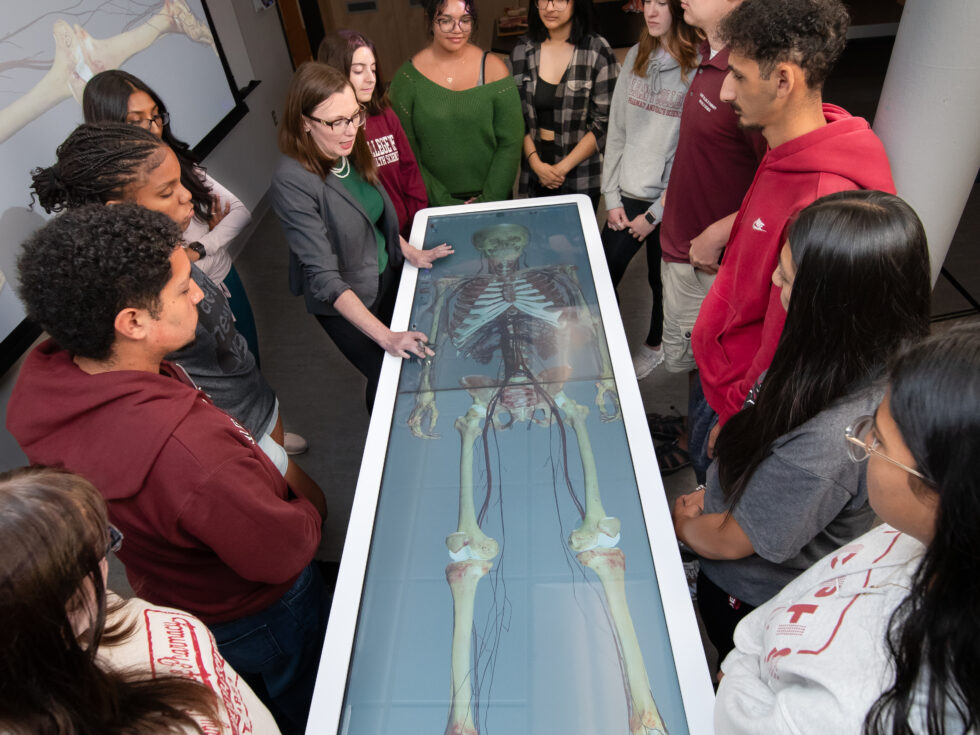 Nursing BS - Albany College of Pharmacy and Health Sciences
