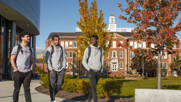 Undergraduate Admissions - Albany College of Pharmacy and Health Sciences