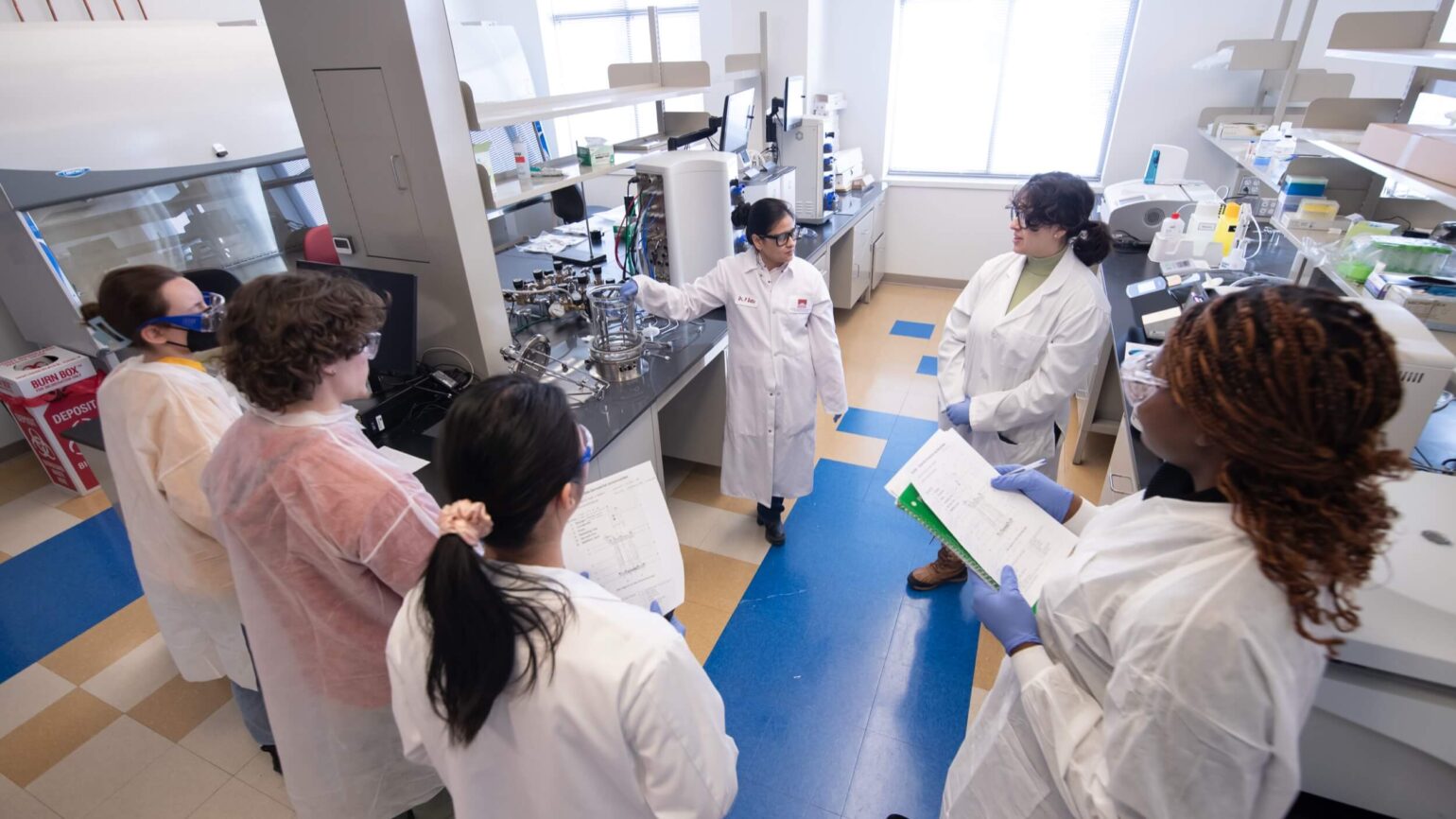 Biotechnology MS Biotechnology MS | On Campus & Online | Albany College ...