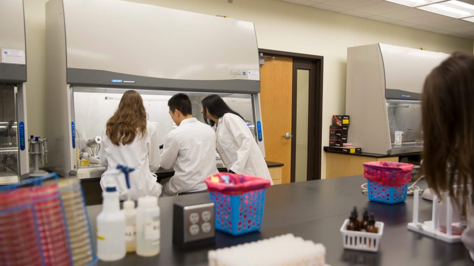 Microbiology BS - Albany College of Pharmacy and Health Sciences